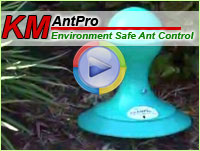 KM Ant Pro Ant Bait System